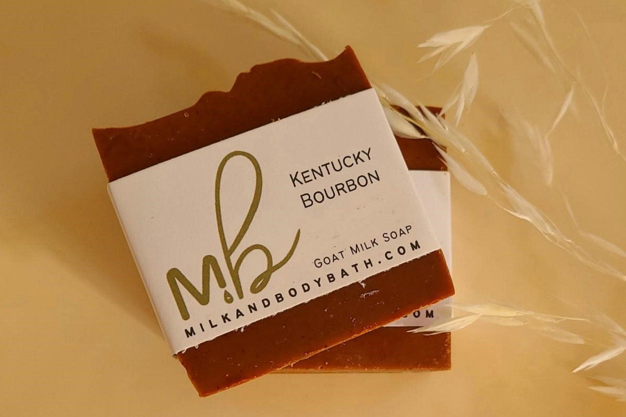 Milk + Body - Michigan SBDC