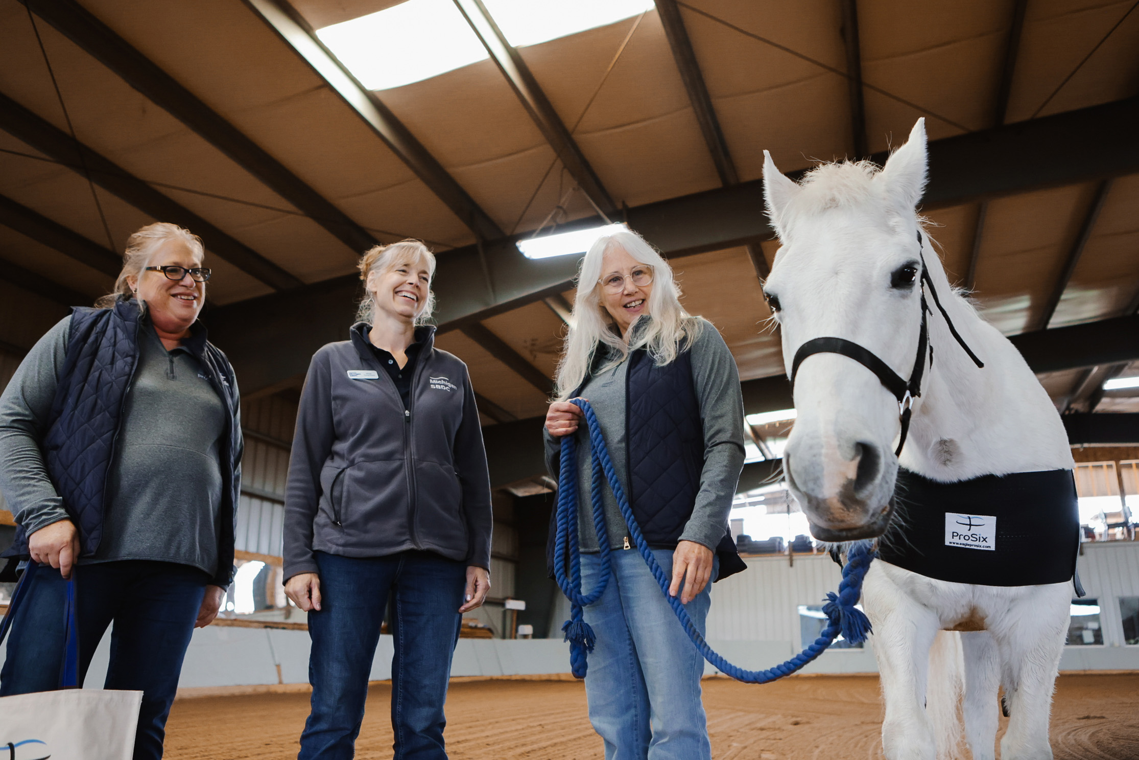 Michigan Small Business Consulting Services & Resources | MI SBDC