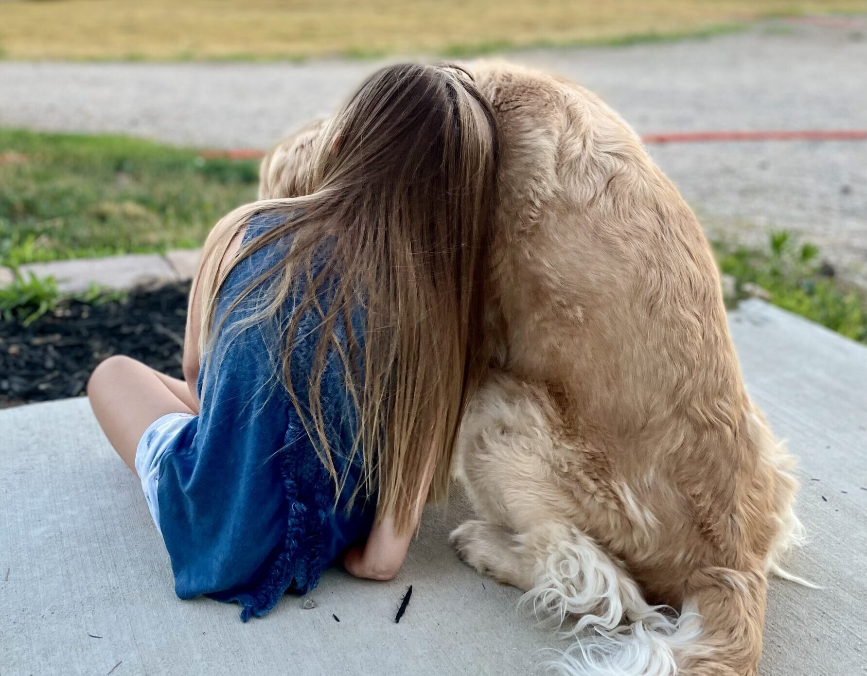 The Koop - Michigan SBDC